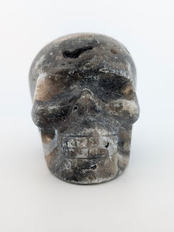 Crystal Skull Collection – 500 g Hand-Carved Skulls (10 Mineral ...
