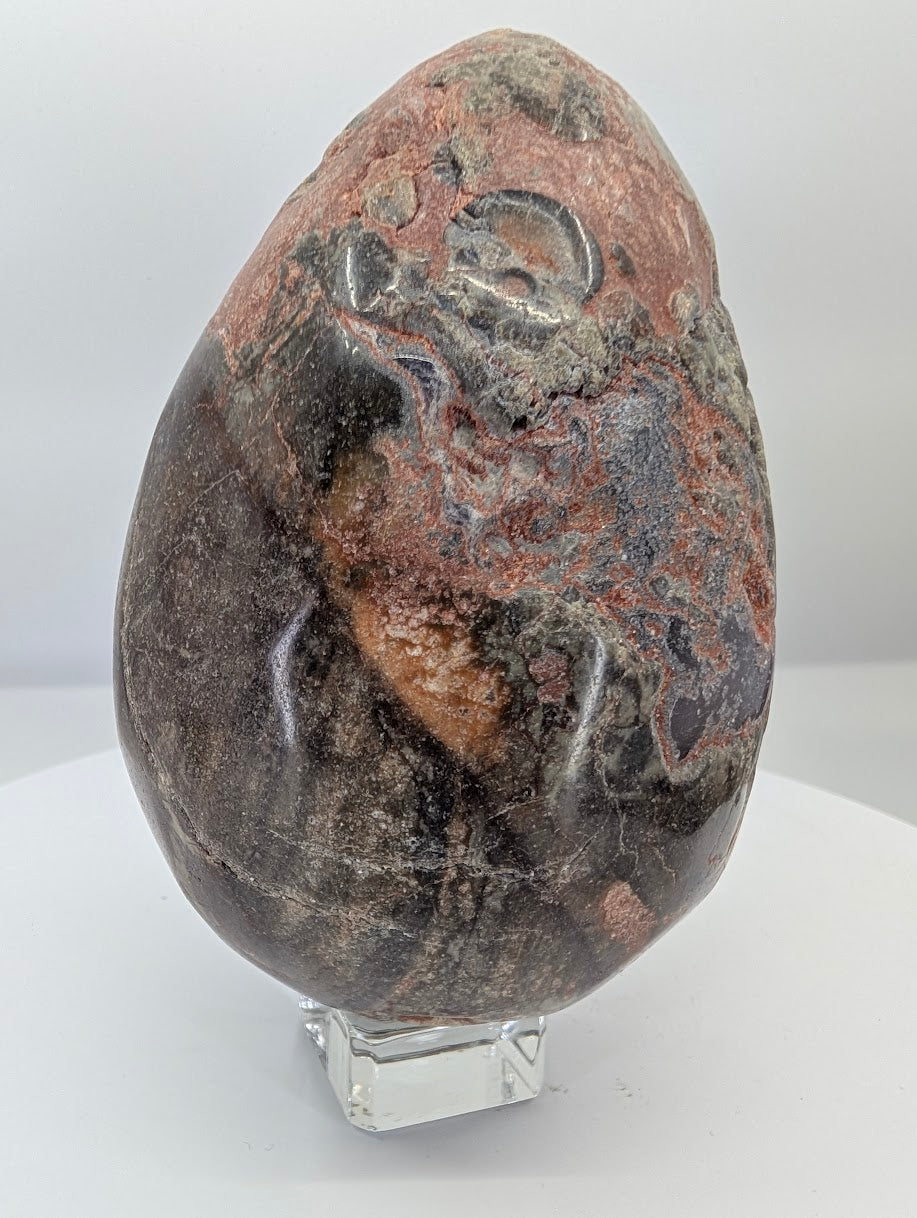 Money Agate Egg – Polished 5″ Statement Stone | Exact Piece – Legacy ...